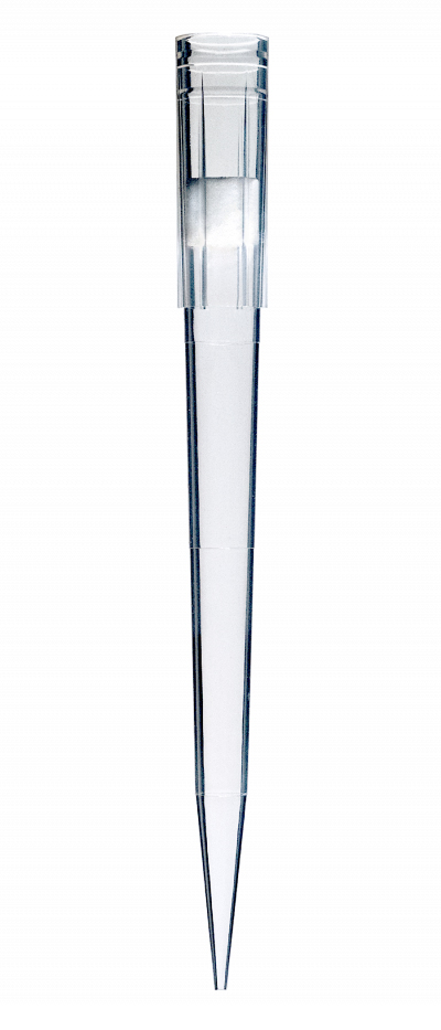 Mastering the Art: Correct Method for Loading Tips onto a Micropipette ...