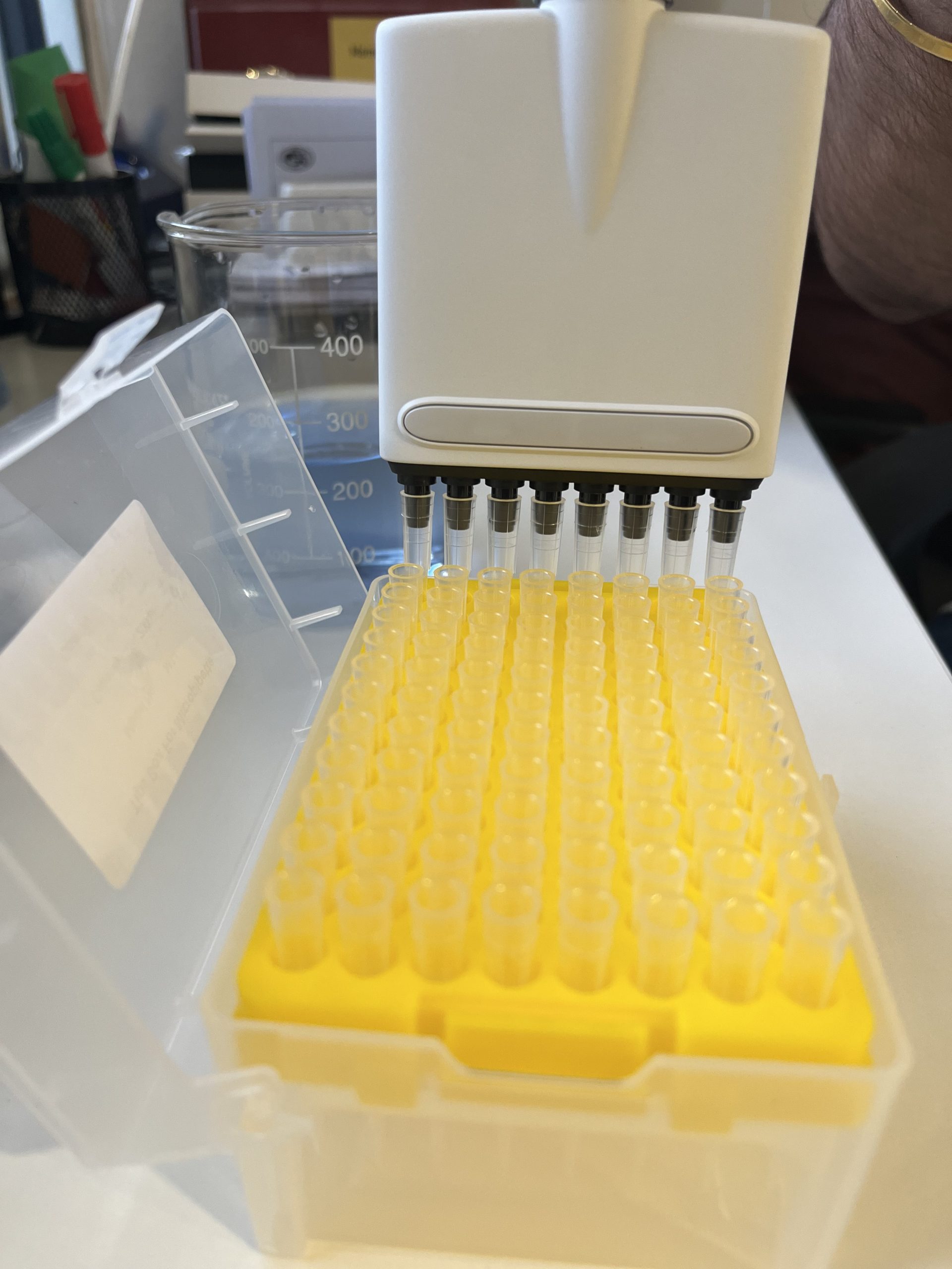 Mastering the Art: Correct Method for Loading Tips onto a Micropipette ...